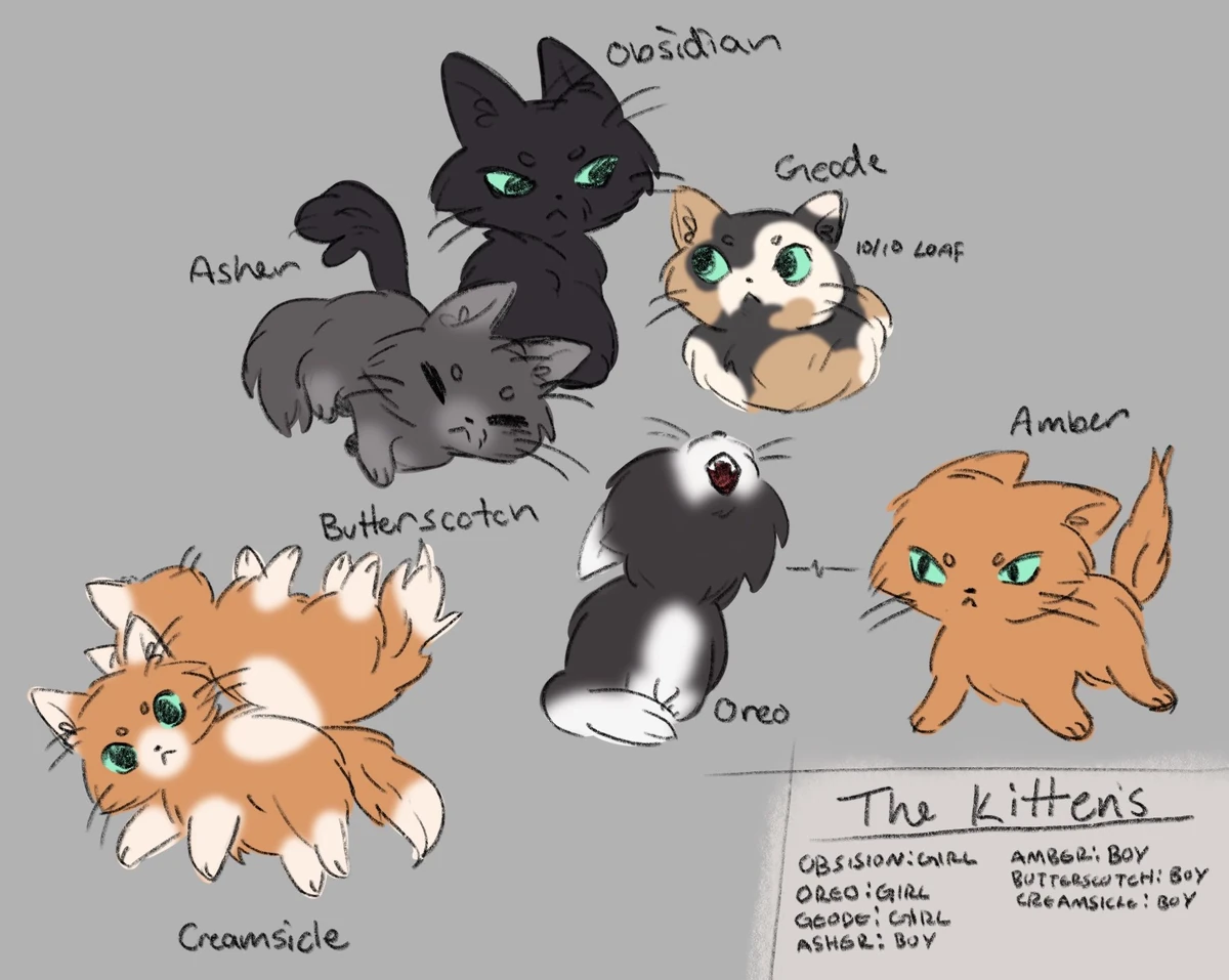 Born Anew | Campus Chronicles Wiki | Fandom