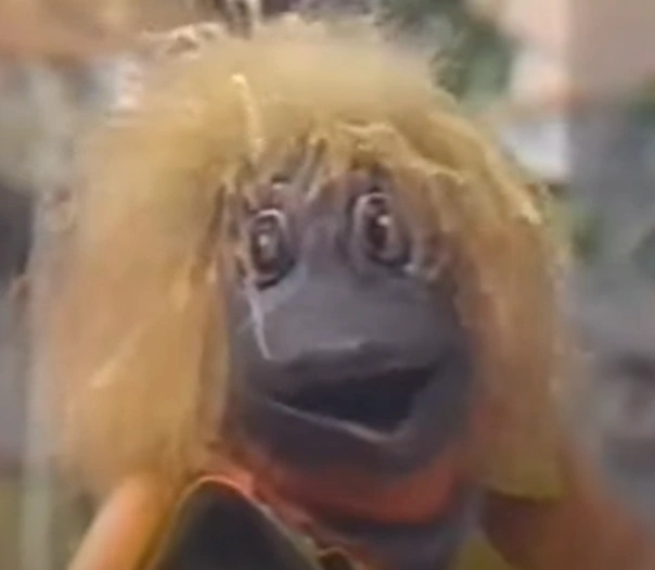 Bird From Gaspe Pt 1 | Canadian Children's TV Shows Wiki | Fandom