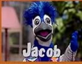Jacob Blue Jay | Canadian Children's TV Shows Wiki | Fandom