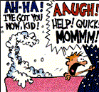 Bath Foam | The Calvin and Hobbes Wiki | Fandom