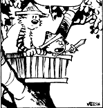 Calvin as a Pirate | The Calvin and Hobbes Wiki | Fandom