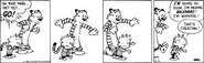 Calvin | The Calvin and Hobbes Wiki | Fandom