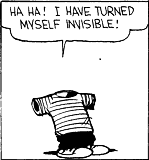 Calvin in Chemically Induced Invisible Form | The Calvin and Hobbes ...