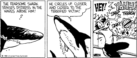 Shark | The Calvin and Hobbes Wiki | Fandom