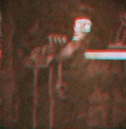 The Skin-Taker | Candle Cove Wiki | Fandom