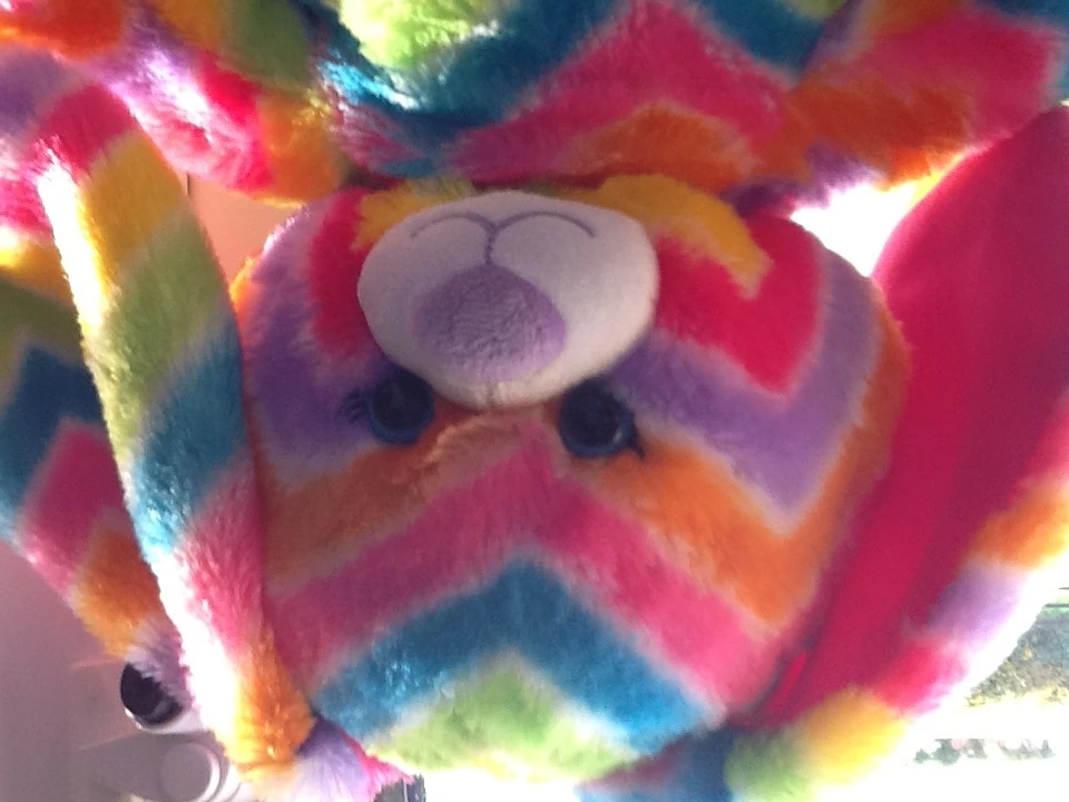 Category:Furry Friends | The Official Candy Show Wiki | Fandom