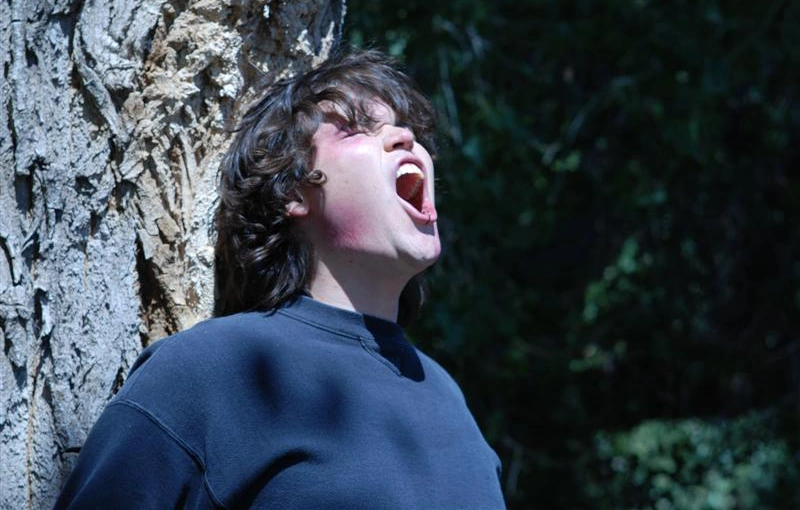 Jesse | Canon Wiki | Fandom