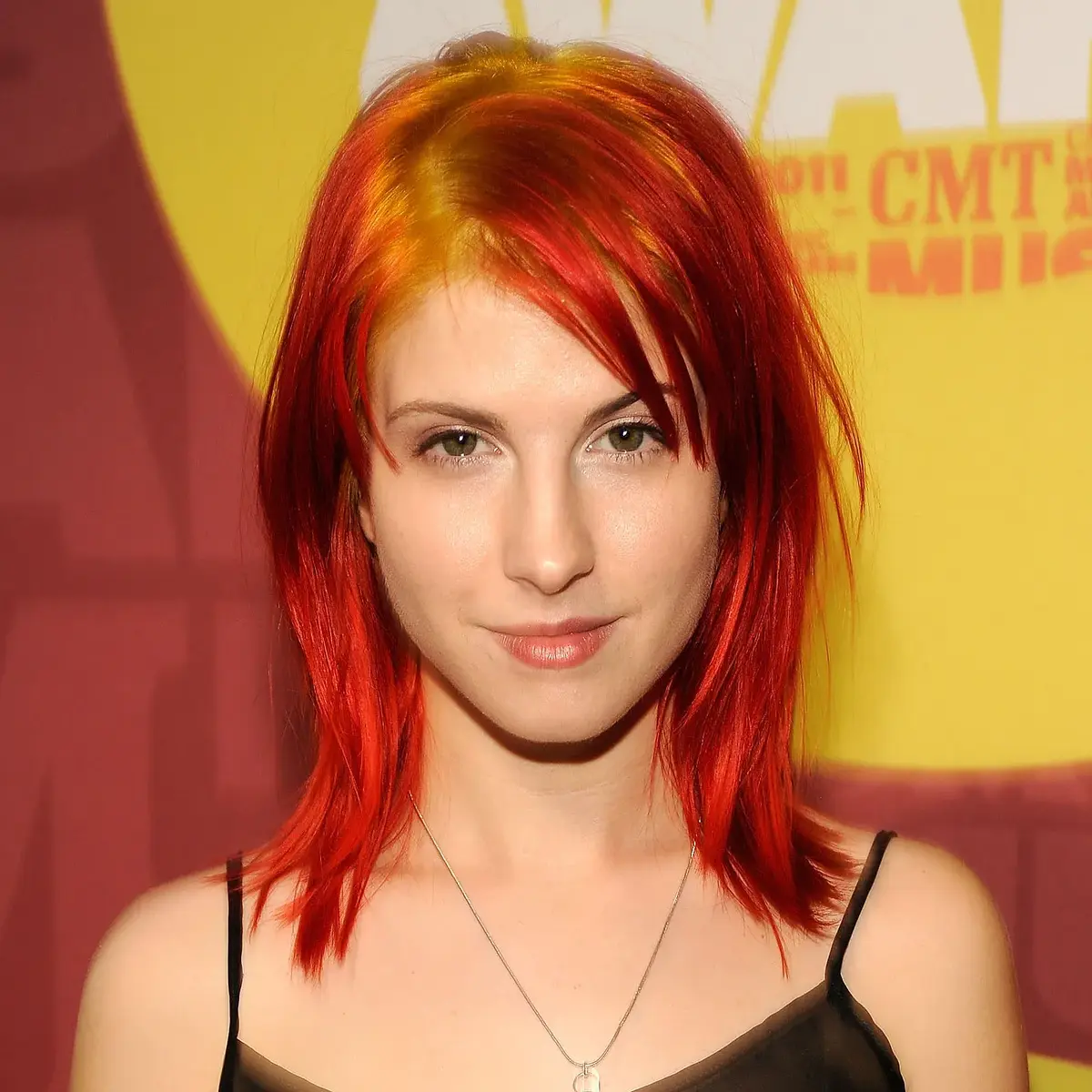 Hayley Williams | Wiki Cantantes | Fandom