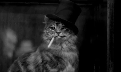 Sir Reginald | Cantasia Wiki | Fandom