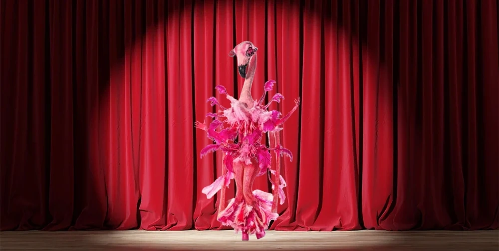 Flamingo | Wiki Cantor Mascarado | Fandom