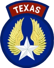 Texas Wing | Civil Air Patrol Wiki | Fandom