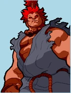 Gallery:Akuma | Capcom Database | Fandom