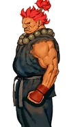 Gallery:Akuma | Capcom Database | Fandom