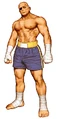 Sagat | Capcom Database | Fandom