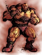 Gallery:Zangief | Capcom Database | Fandom