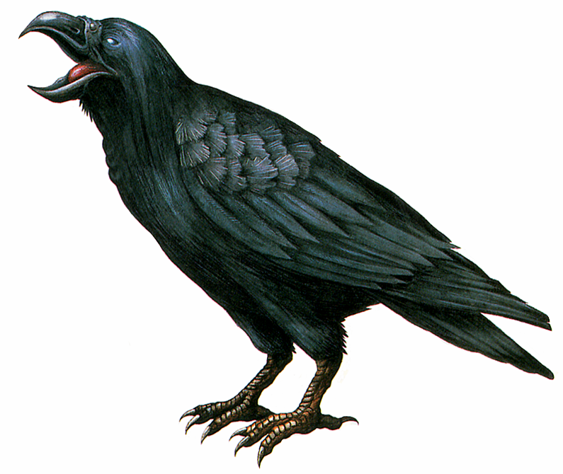 Crow (Resident Evil) | Capcom Database | Fandom