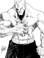 Sagat | Capcom Database | Fandom