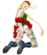 Kinu Nishimura | Capcom Database | Fandom