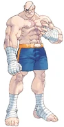 Gallery:Sagat | Capcom Database | Fandom