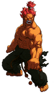 Gallery:Akuma | Capcom Database | Fandom