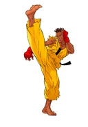 Sean | Capcom Database | Fandom