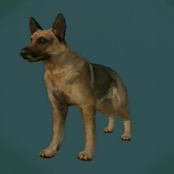 Hewie | Haunting Ground Wiki | Fandom