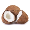 Coconut | Capitalism Lab Wiki | Fandom