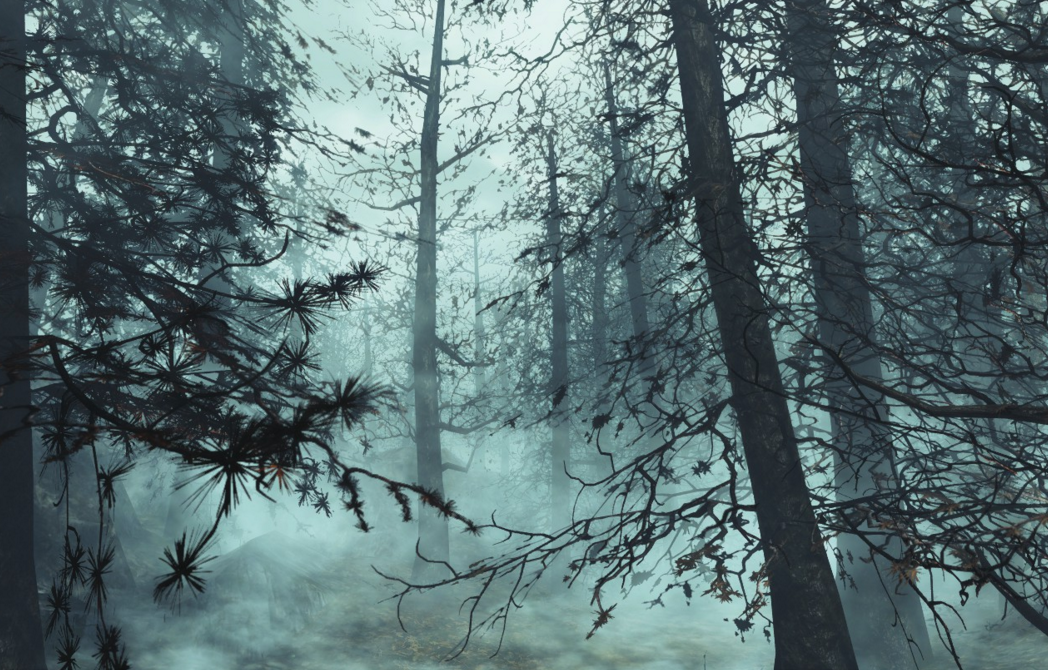 Moonpine Forest Affinity Of The Capitalist Sanction Wiki Fandom