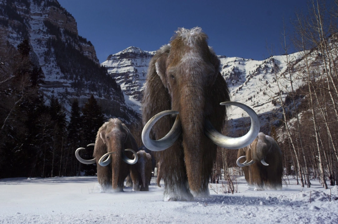 Mammoth | Affinity of the Capitalist Sanction Wiki | Fandom