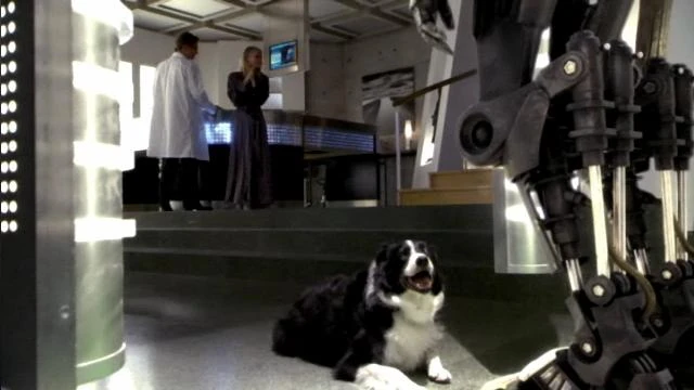 Caesar the Dog | Wiki Caprica | Fandom