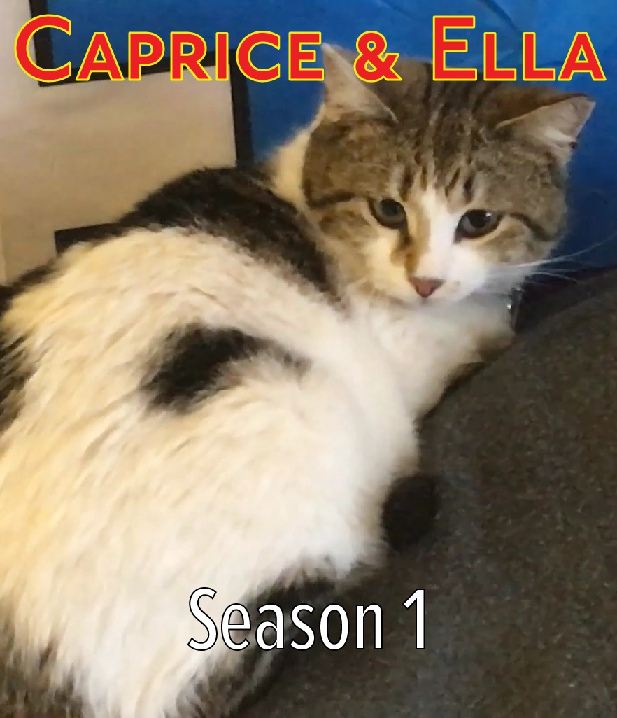 Caprice & Ella (season 1) | Caprice & Ella Wiki | Fandom