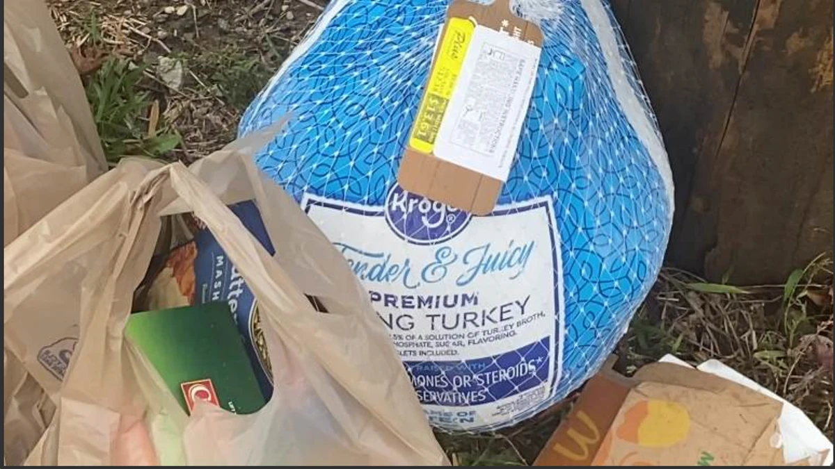 Thanksgiving 2024 | Caprice & Ella Wiki | Fandom