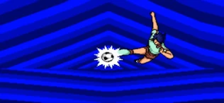 Peregrine Falcon Running Volley | Captain Tsubasa Wiki | Fandom