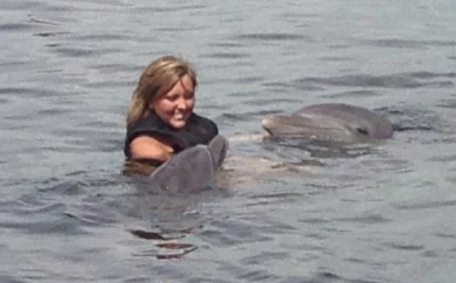 Julie | Captive Cetacean Wiki | Fandom