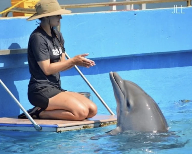 Boo | Captive Cetacean Wiki | Fandom