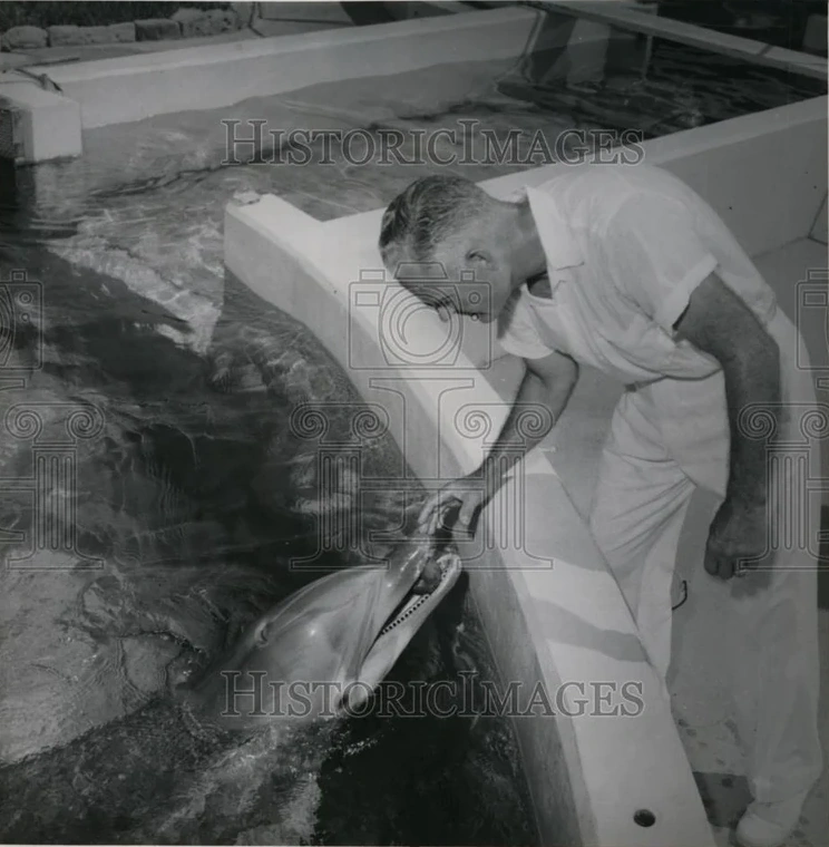 Algae (MLF) | Captive Cetaceans Wiki | Fandom