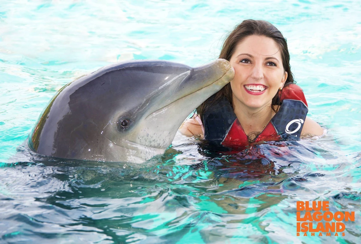 Stormy (DE) | Captive Cetaceans Wiki | Fandom