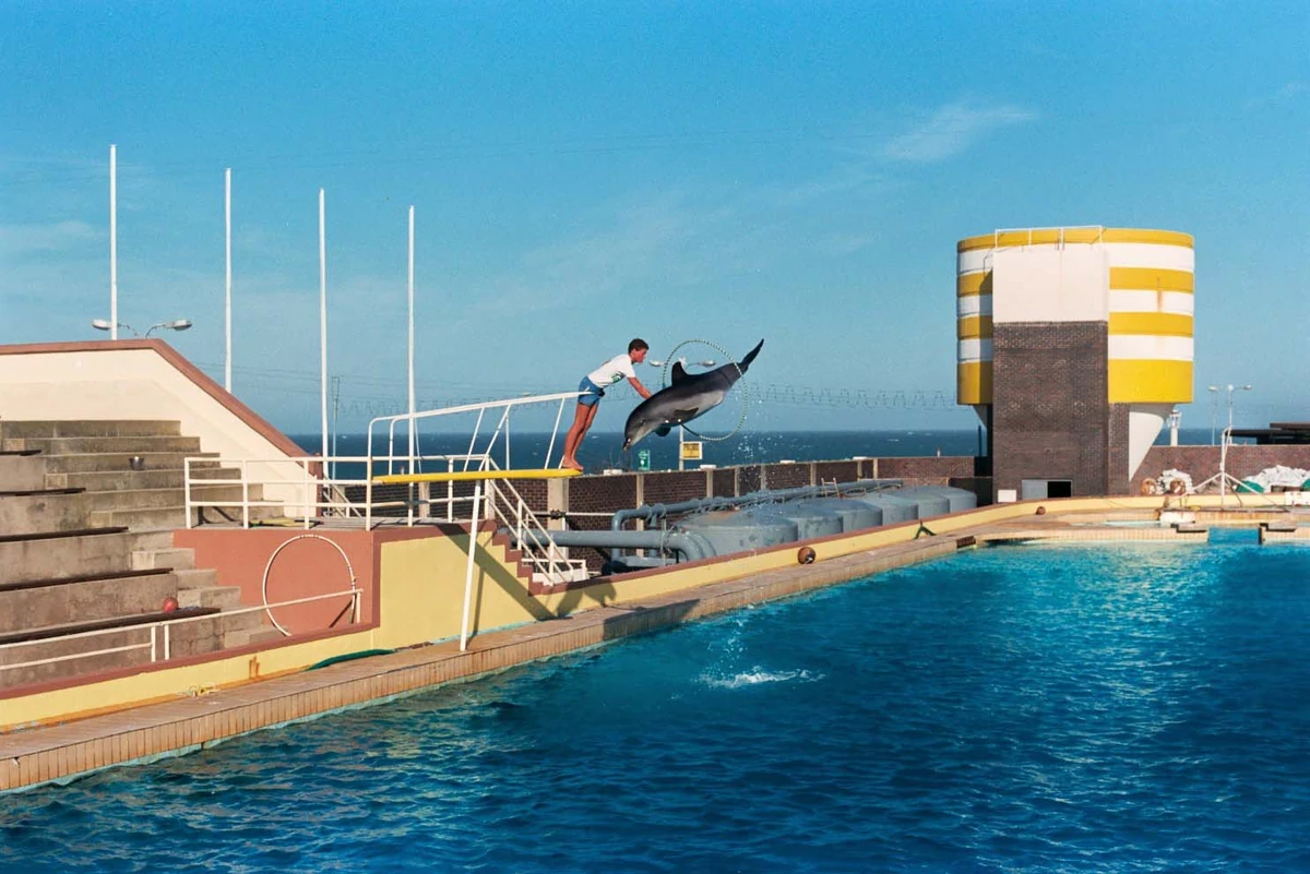 Bayworld | Captive Cetaceans Wiki | Fandom