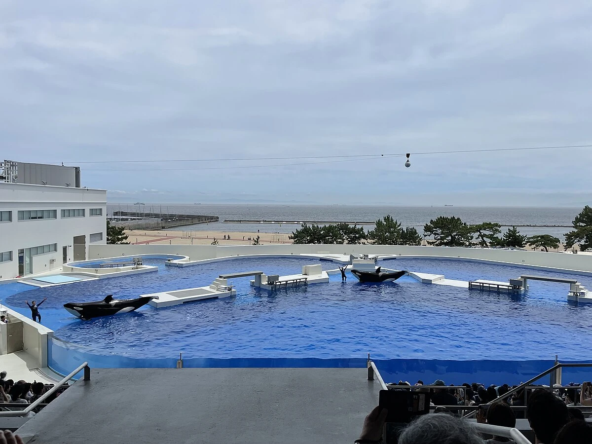Kobe Suma Sea World | Captive Cetaceans Wiki | Fandom