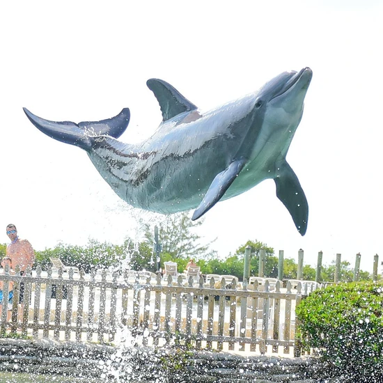 Tatem (CWOP) | Captive Cetaceans Wiki | Fandom