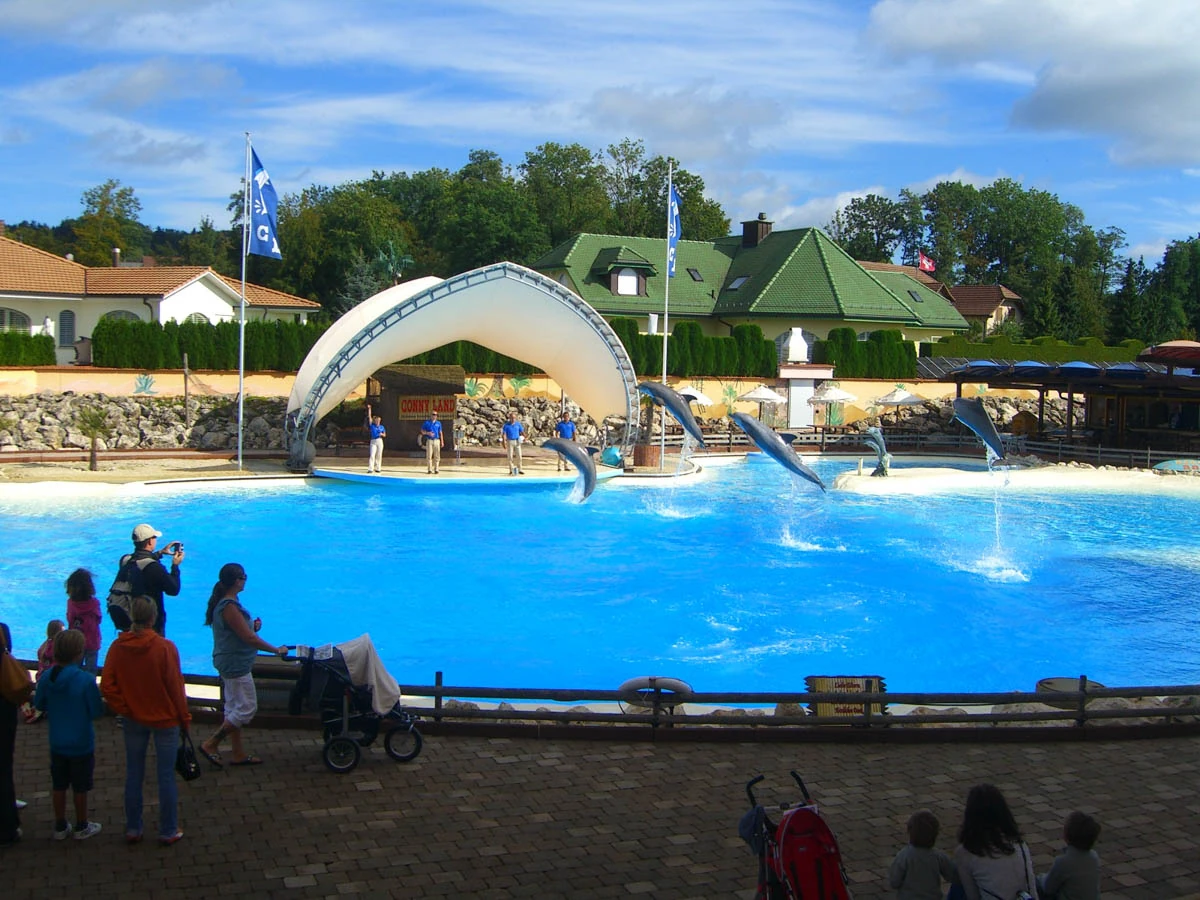 Connyland | Captive Cetaceans Wiki | Fandom