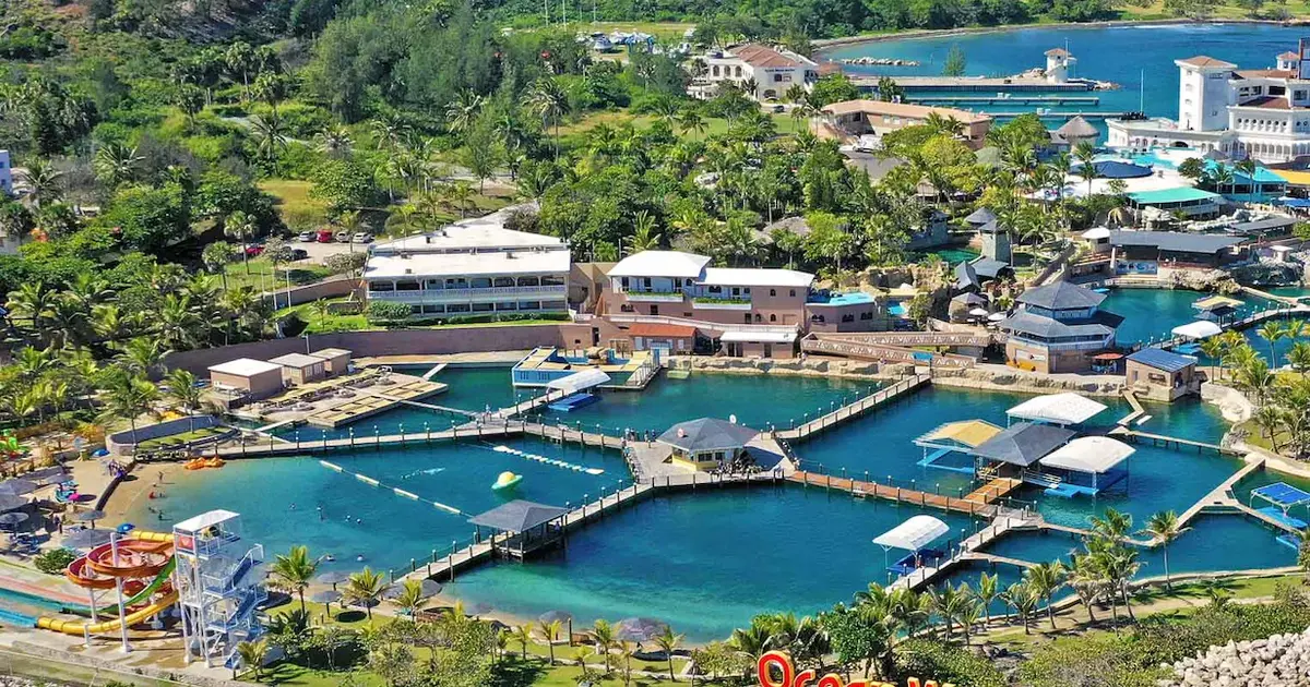 Ocean World Adventure Park | Captive Cetaceans Wiki | Fandom
