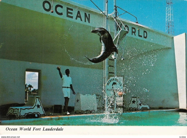 Ocean World Fort Lauderdale | Captive Cetaceans Wiki | Fandom