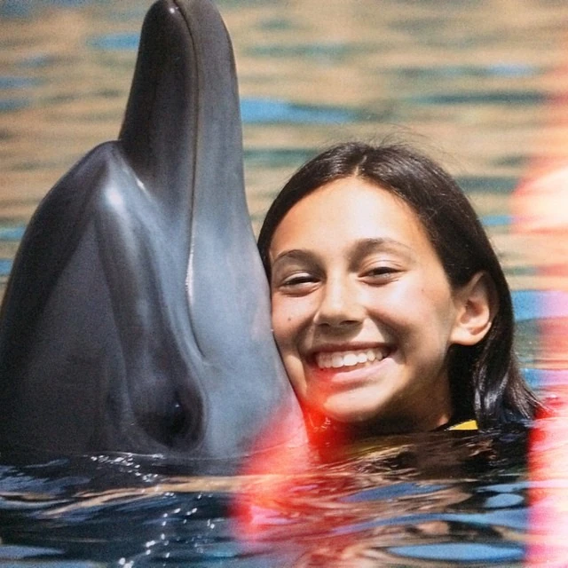 Dennita (ATP) | Captive Cetaceans Wiki | Fandom