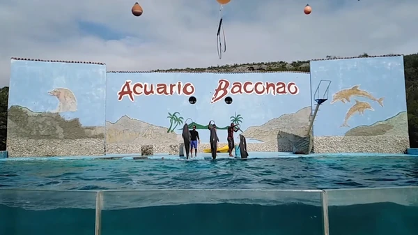 Acuario de Baconao | Captive Cetaceans Wiki | Fandom
