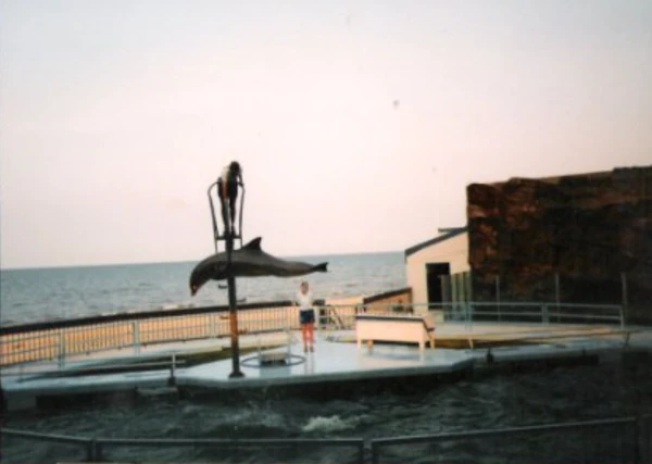Cedar Point | Captive Cetaceans Wiki | Fandom