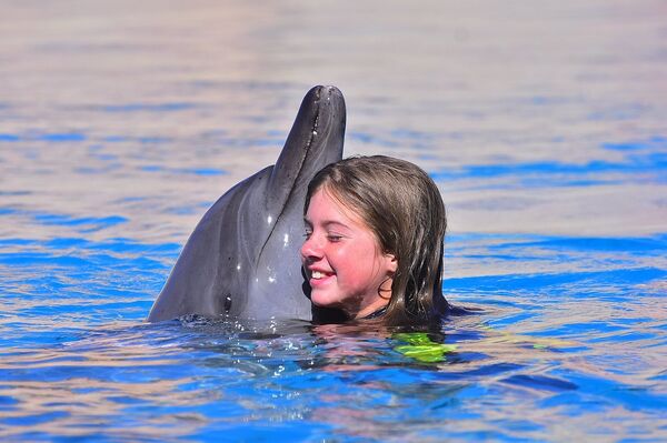 Tulagi Atp Captive Cetaceans Wiki Fandom