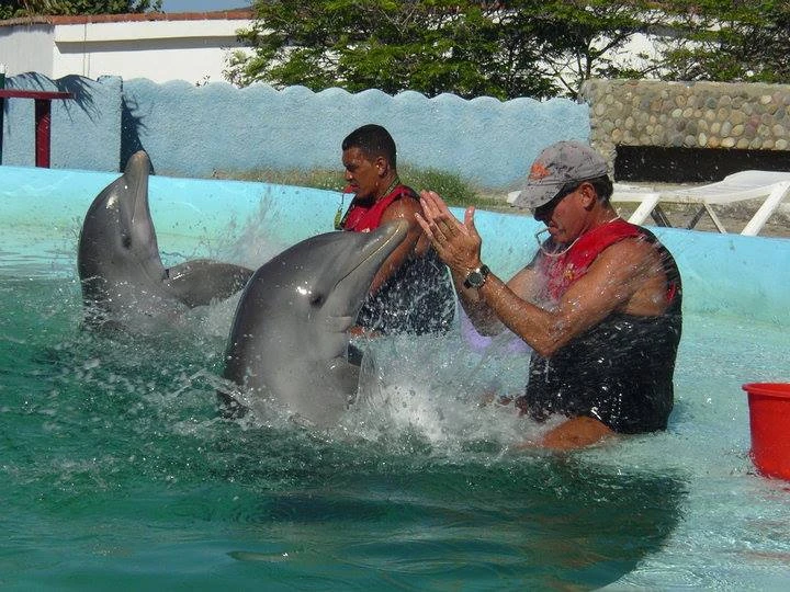 Tony (ACB) | Captive Cetaceans Wiki | Fandom