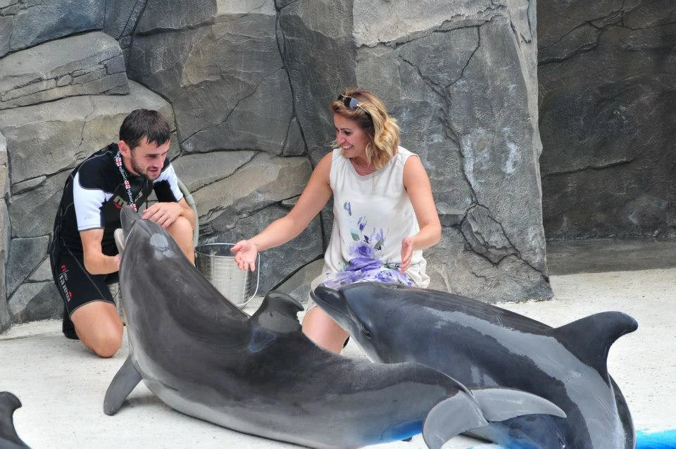 Marco (BAT) | Captive Cetaceans Wiki | Fandom
