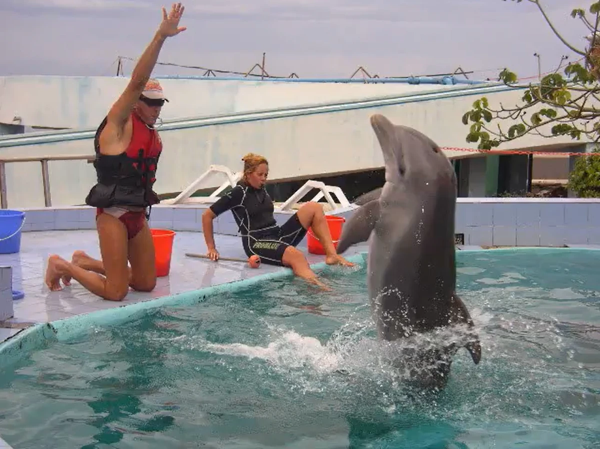 Mary (ACB) | Captive Cetaceans Wiki | Fandom
